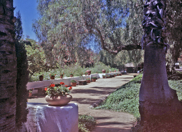 Rancho Los Alamitos | The Cultural Landscape Foundation