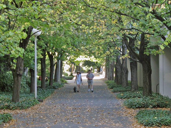 Portland Open Space Sequence | The Cultural Landscape Foundation