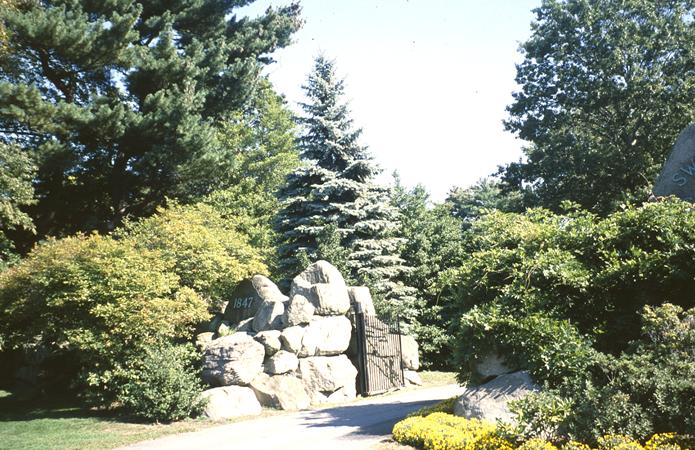 Swan Point Cemetery | The Cultural Landscape Foundation