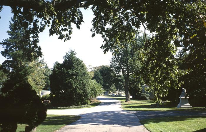Swan Point Cemetery | The Cultural Landscape Foundation