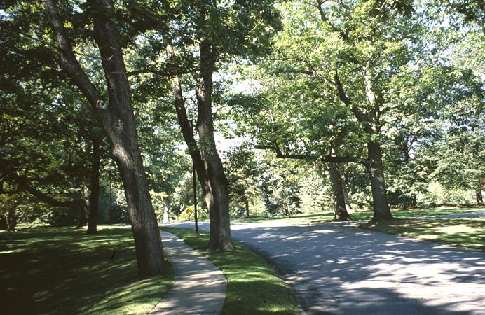 Swan Point Cemetery | The Cultural Landscape Foundation