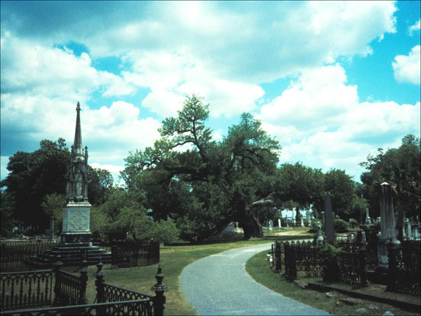 Bonaventure Cemetery | The Cultural Landscape Foundation