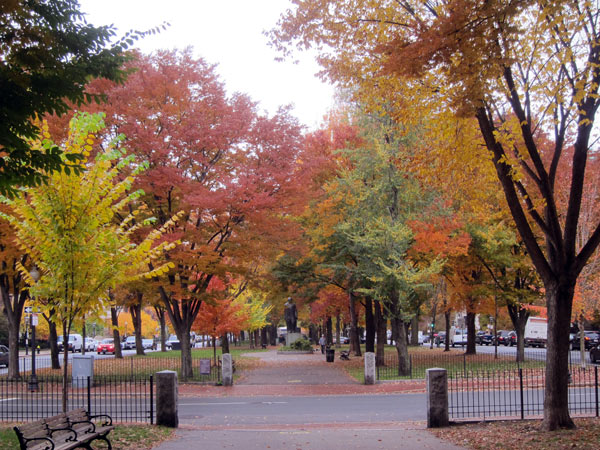 Commonwealth Avenue Mall | The Cultural Landscape Foundation