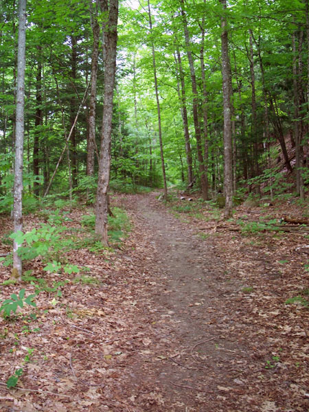 Manson Park | The Cultural Landscape Foundation