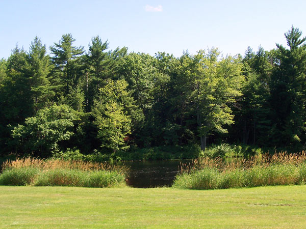 Manson Park | The Cultural Landscape Foundation