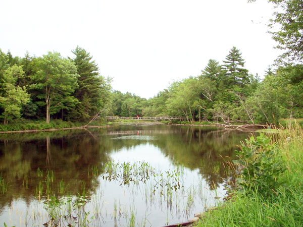 Manson Park | The Cultural Landscape Foundation