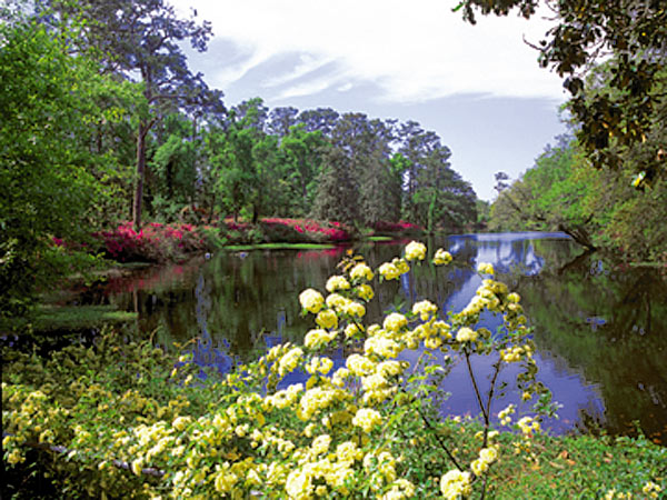 Airlie Gardens | The Cultural Landscape Foundation