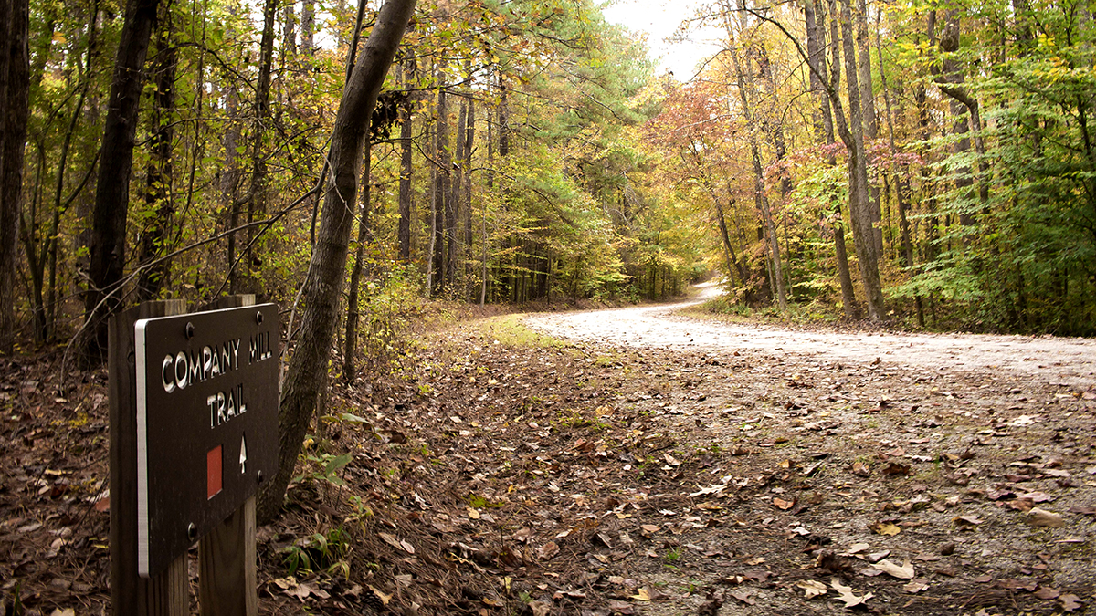 William B. Umstead State Park | The Cultural Landscape Foundation