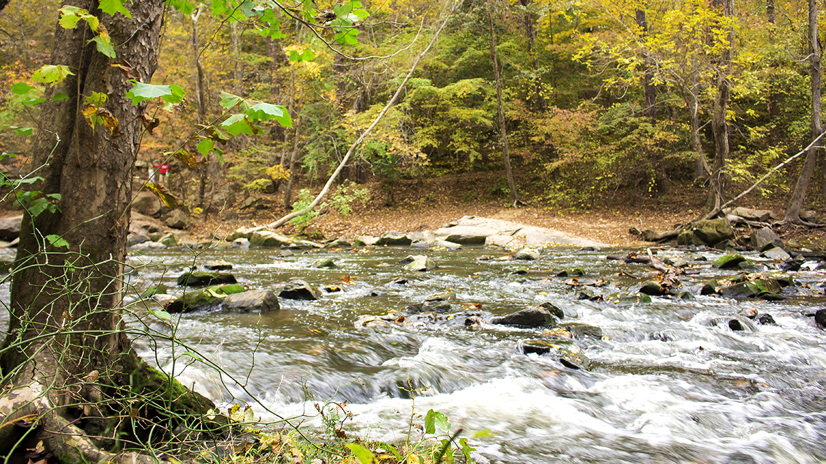 William B. Umstead State Park | The Cultural Landscape Foundation