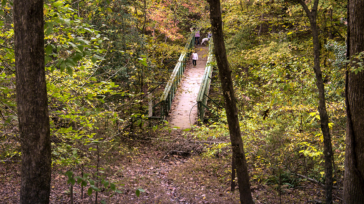 William B. Umstead State Park | The Cultural Landscape Foundation