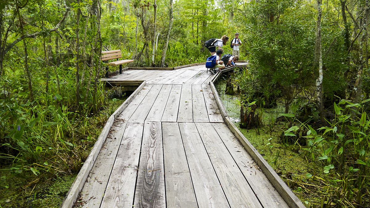 Barataria Preserve | The Cultural Landscape Foundation