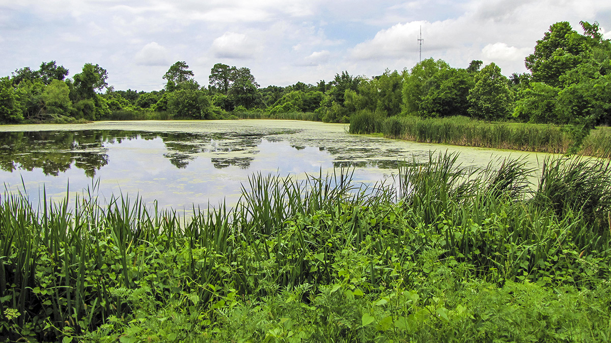 Brechtel Park | The Cultural Landscape Foundation