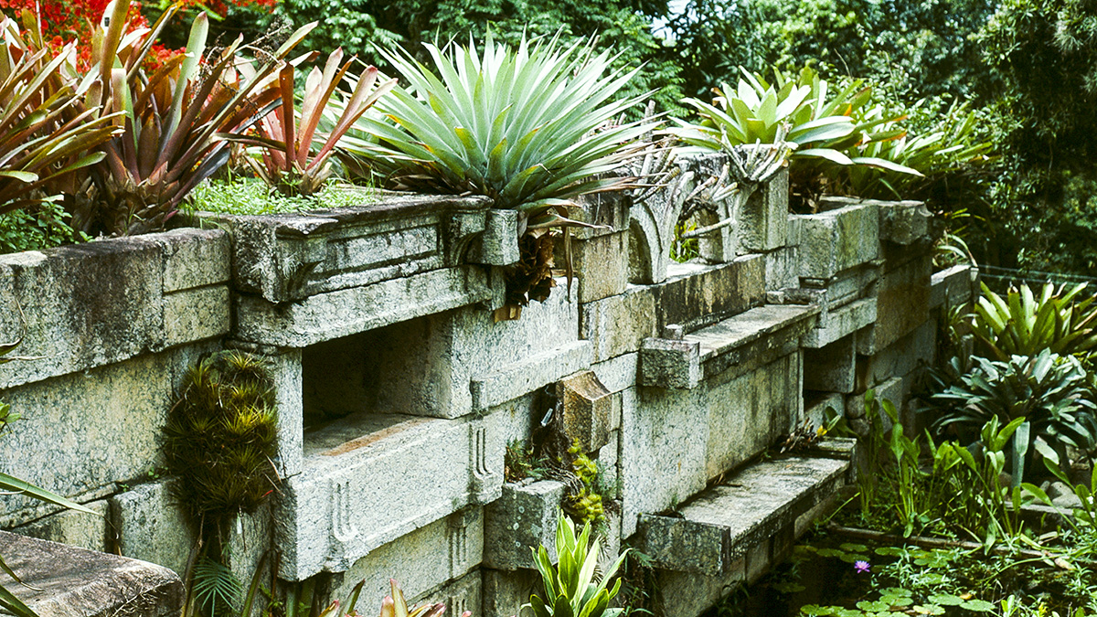Roberto Burle Marx | The Cultural Landscape Foundation