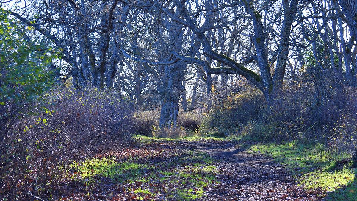 Uplands | The Cultural Landscape Foundation