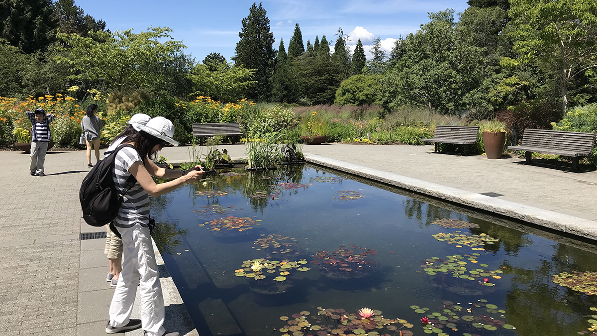 VanDusen Botanical Garden | The Cultural Landscape Foundation