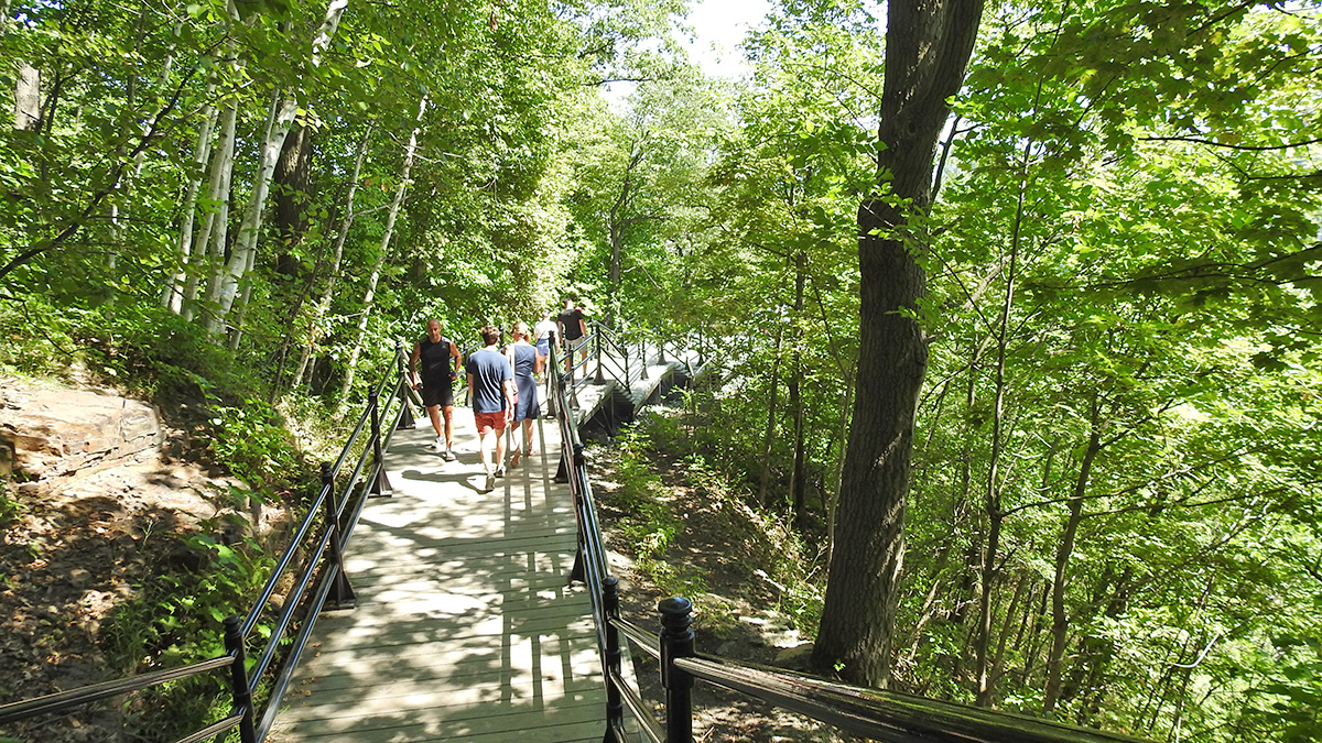 Mount Royal | The Cultural Landscape Foundation