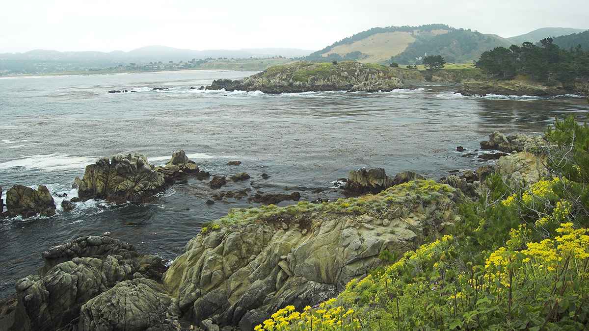 California State Park System | The Cultural Landscape Foundation