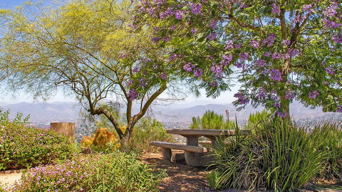 Mount Helix Park | The Cultural Landscape Foundation