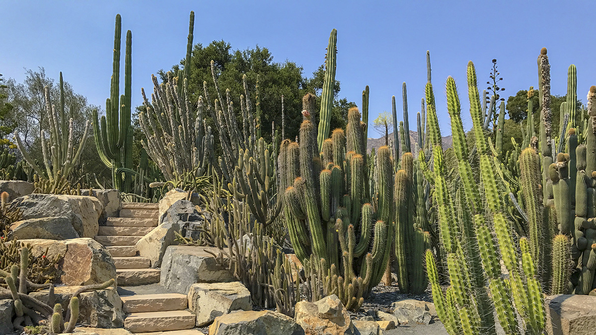 Lotusland | The Cultural Landscape Foundation