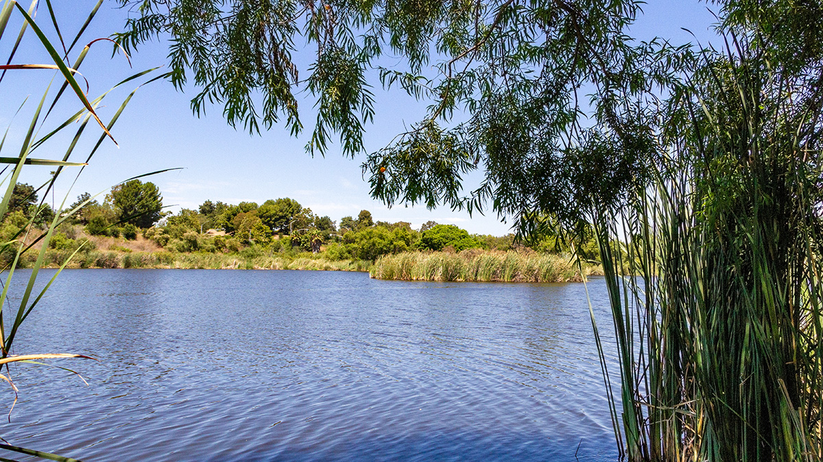 Guajome Regional Park | The Cultural Landscape Foundation