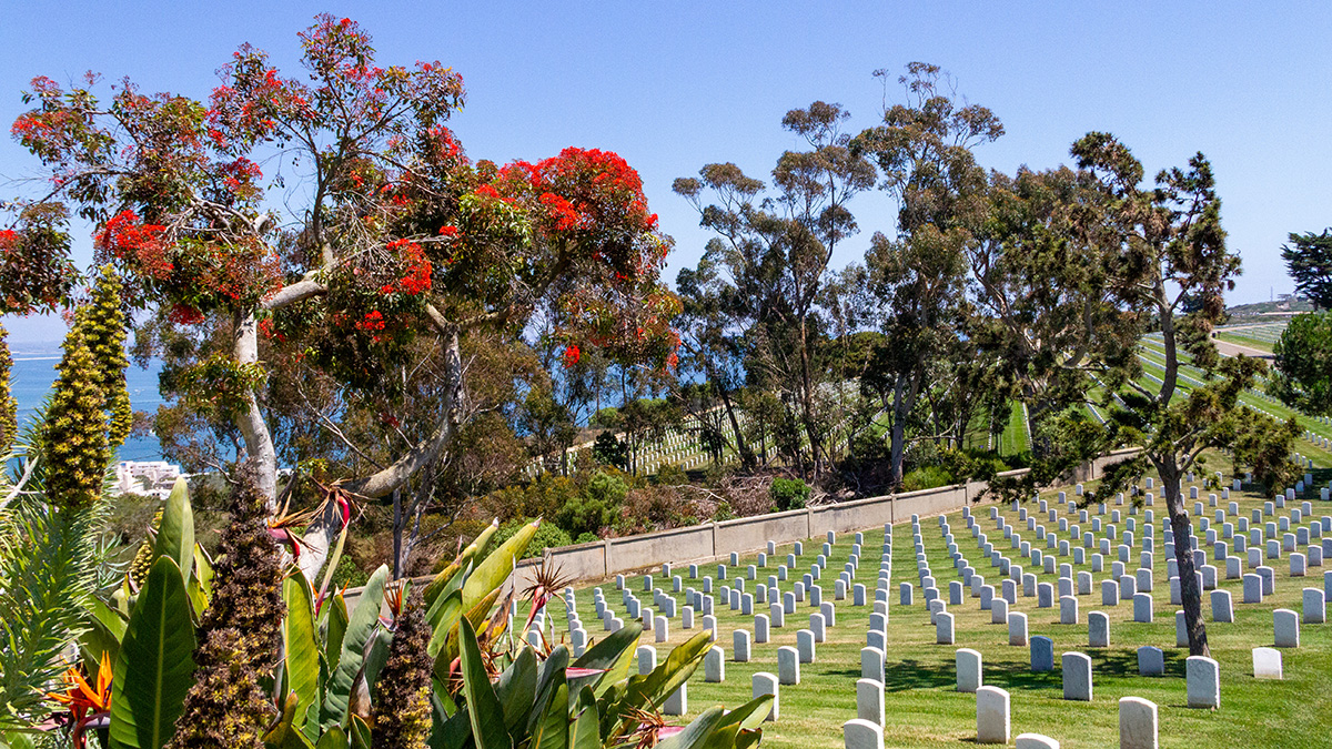 Fort Rosecrans National Cemetery | The Cultural Landscape Foundation