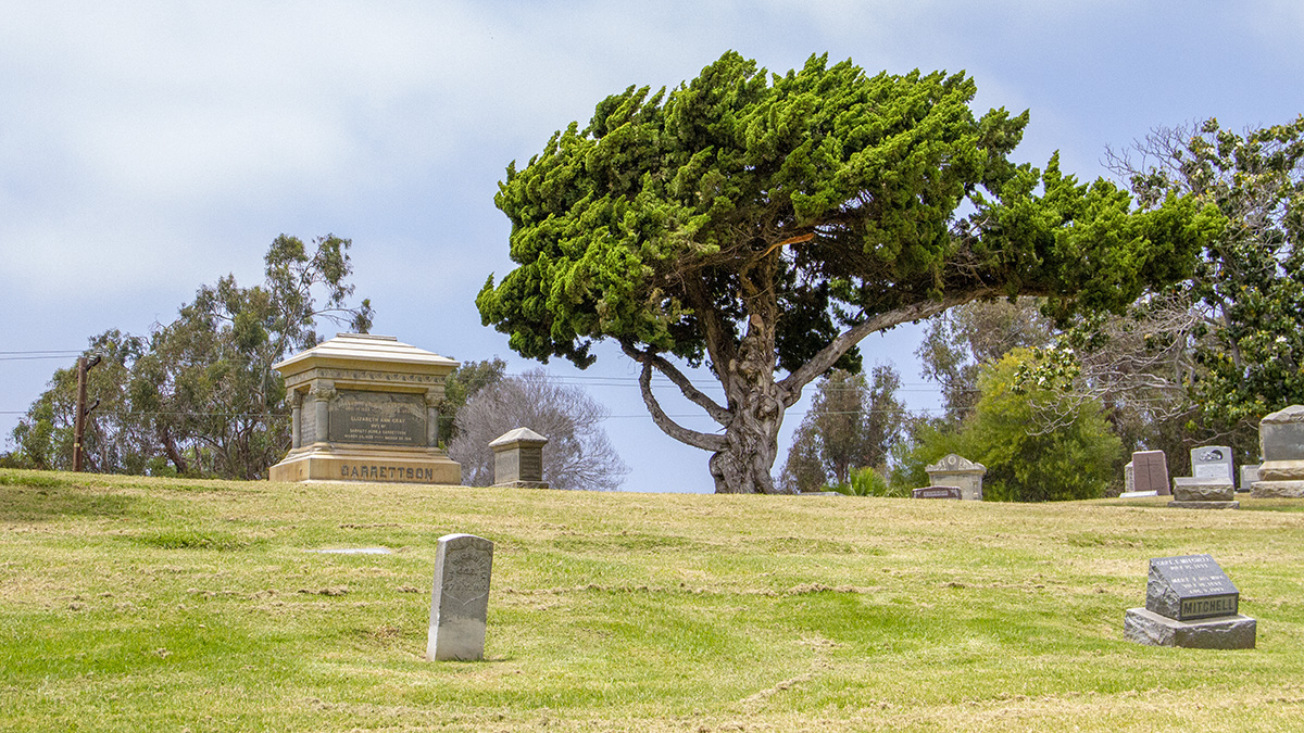 Mount Hope Cemetery - CA | The Cultural Landscape Foundation