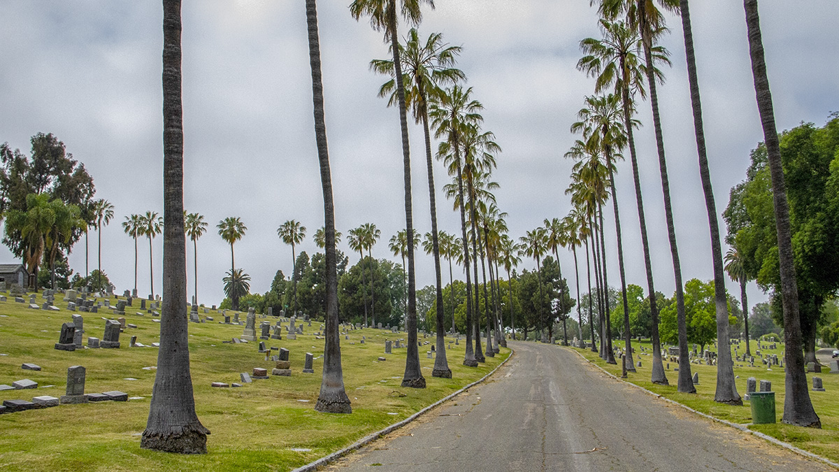 Mount Hope Cemetery - CA | The Cultural Landscape Foundation