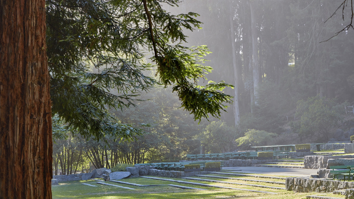 Sigmund Stern Grove | The Cultural Landscape Foundation
