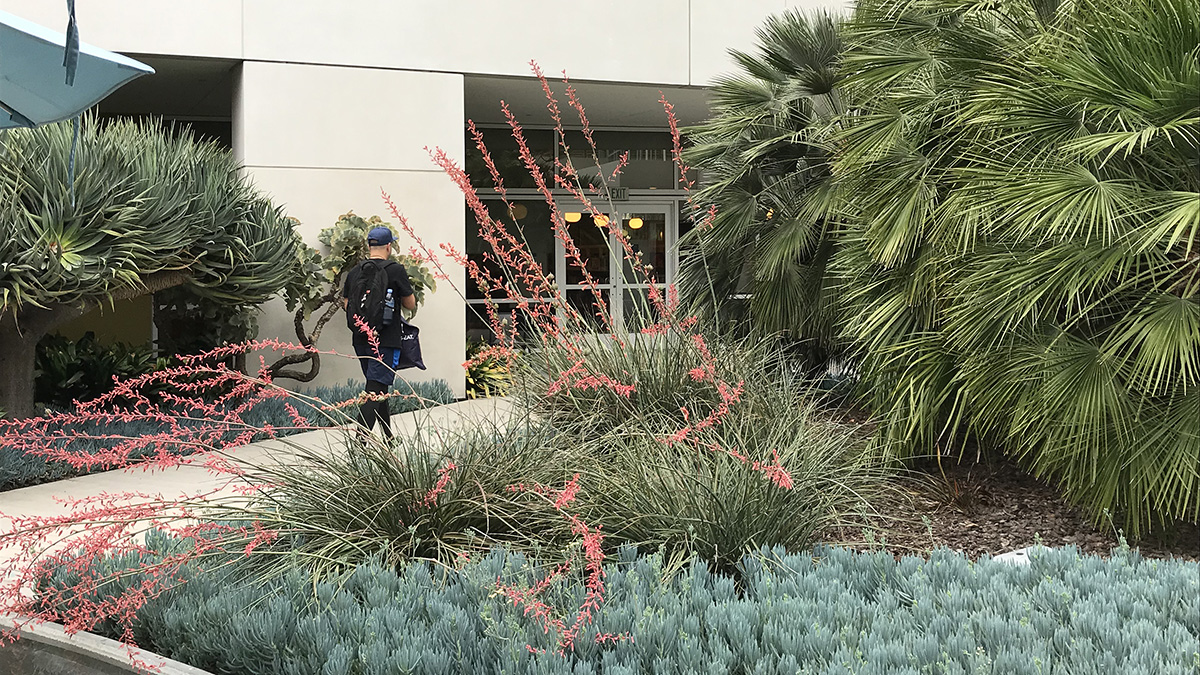 Santa Monica Public Library | The Cultural Landscape Foundation