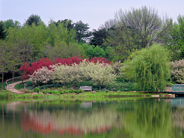 Great Basin and Evening Island - Chicago Botanic Garden | The Cultural ...
