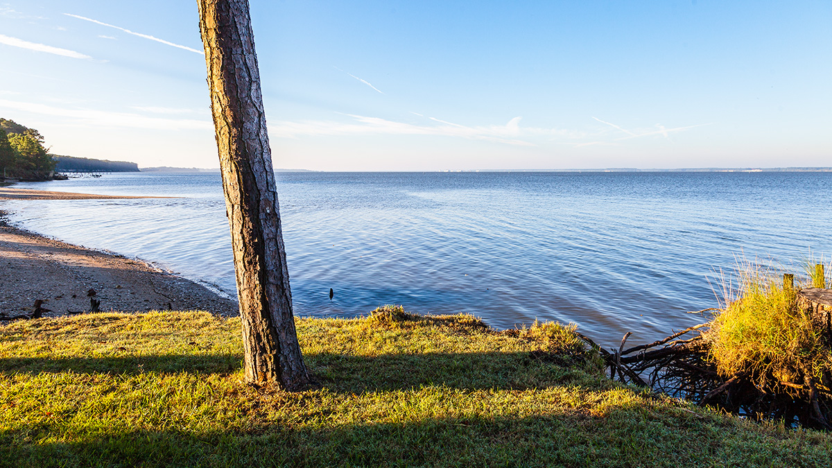 Carter’s Grove Plantation | The Cultural Landscape Foundation