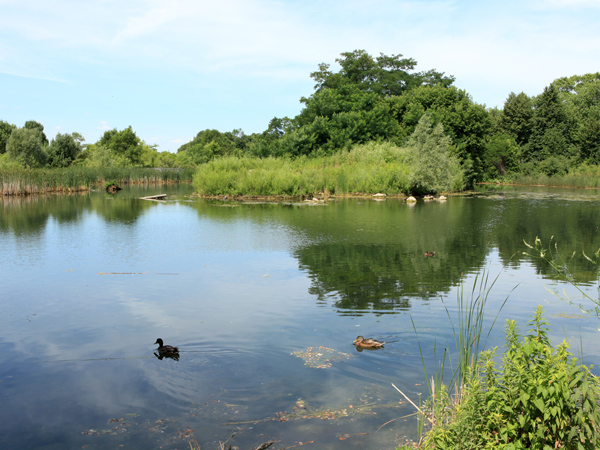 Colonel Samuel Smith Park | The Cultural Landscape Foundation