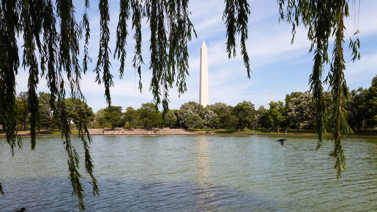 Constitution Gardens | The Cultural Landscape Foundation
