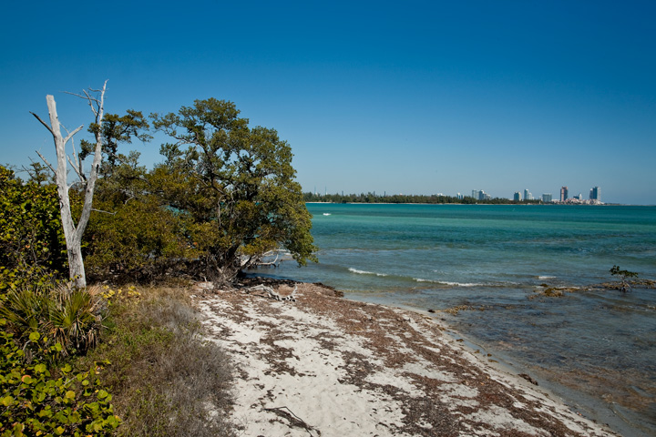 Crandon Park | The Cultural Landscape Foundation