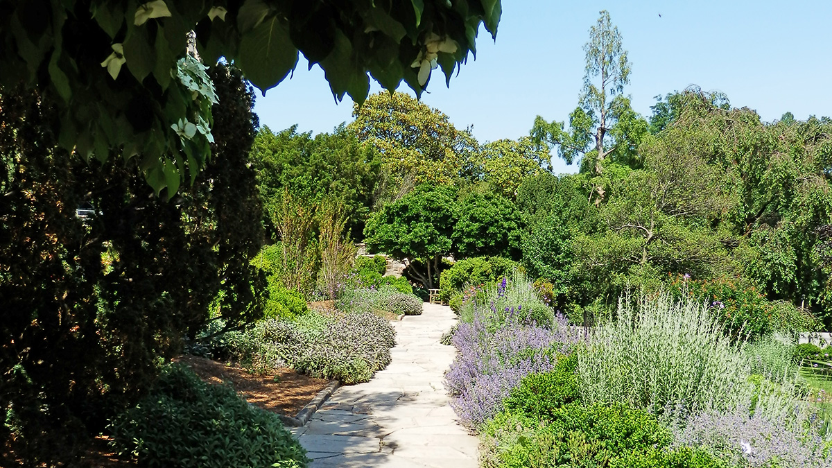 Washington National Cathedral | The Cultural Landscape Foundation