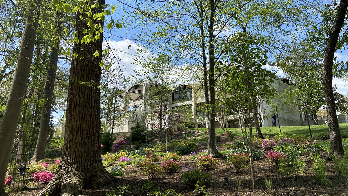 Kreeger Museum | The Cultural Landscape Foundation
