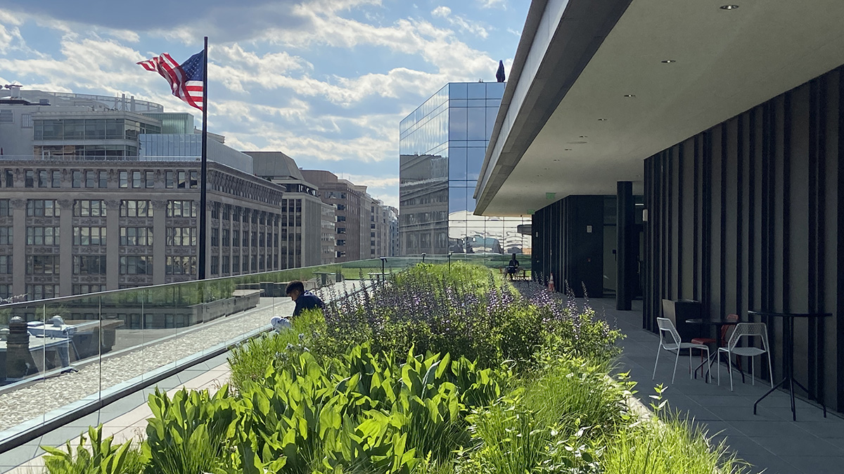 Martin Luther King, Jr. Library | The Cultural Landscape Foundation