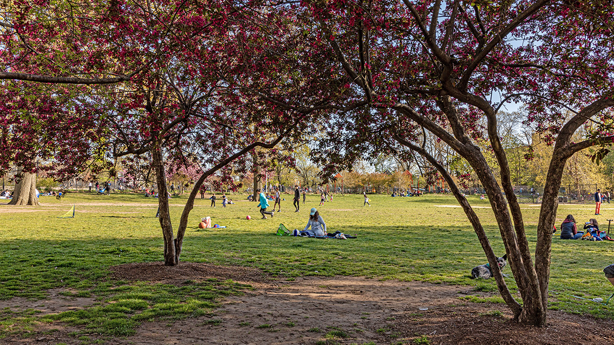 Forest Park - NY | The Cultural Landscape Foundation