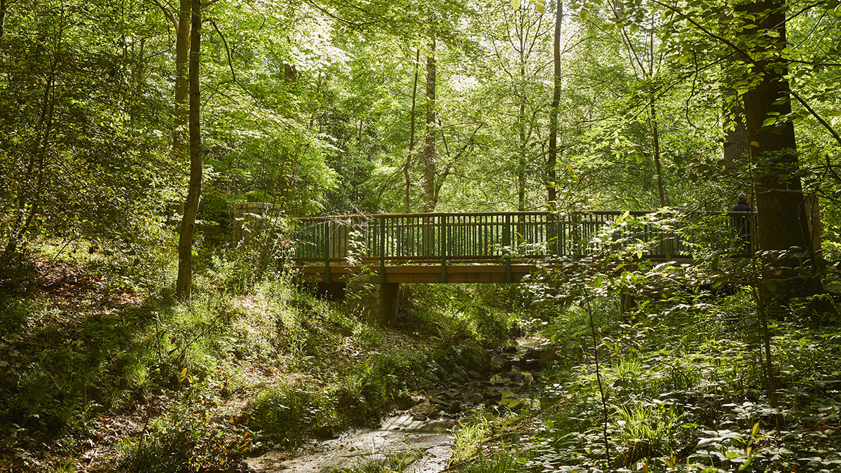 Druid Hills - Deepdene Park | The Cultural Landscape Foundation