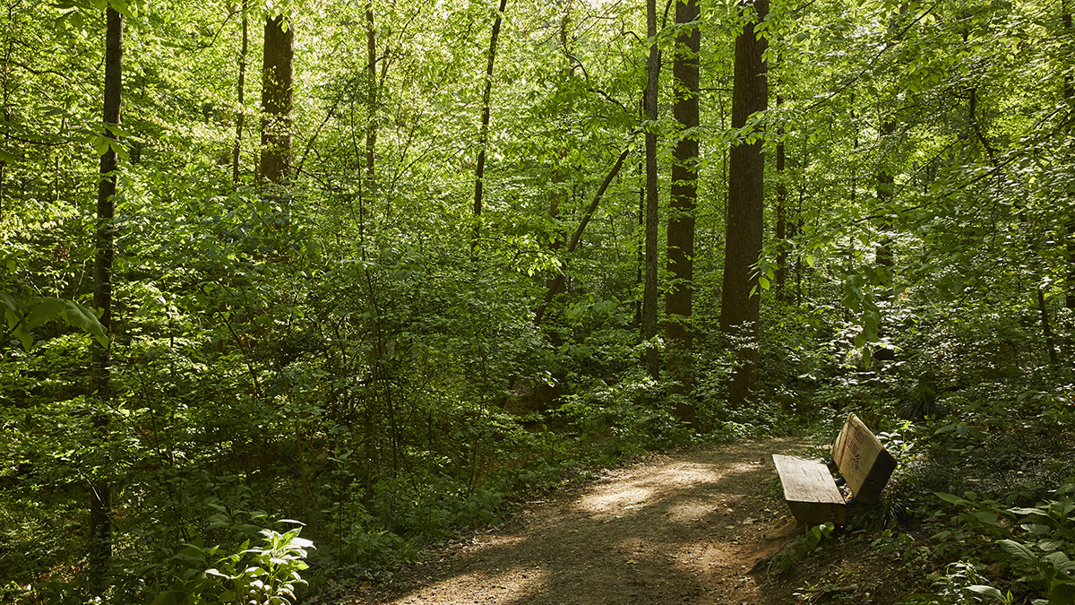 Druid Hills - Deepdene Park | The Cultural Landscape Foundation