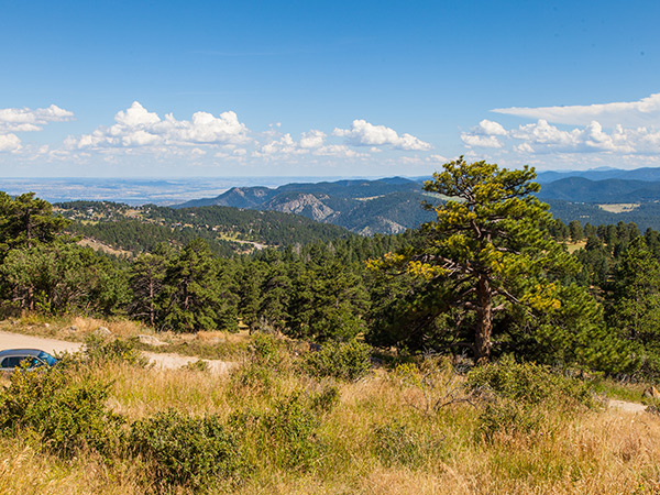 Genesee Park | The Cultural Landscape Foundation