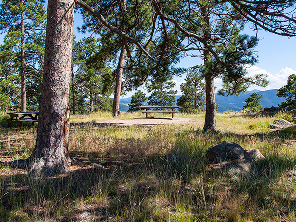 Genesee Park | The Cultural Landscape Foundation