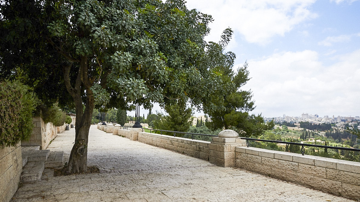 Haas Promenade | The Cultural Landscape Foundation