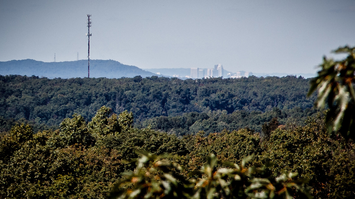 Bernheim Arboretum and Research Forest | The Cultural Landscape Foundation