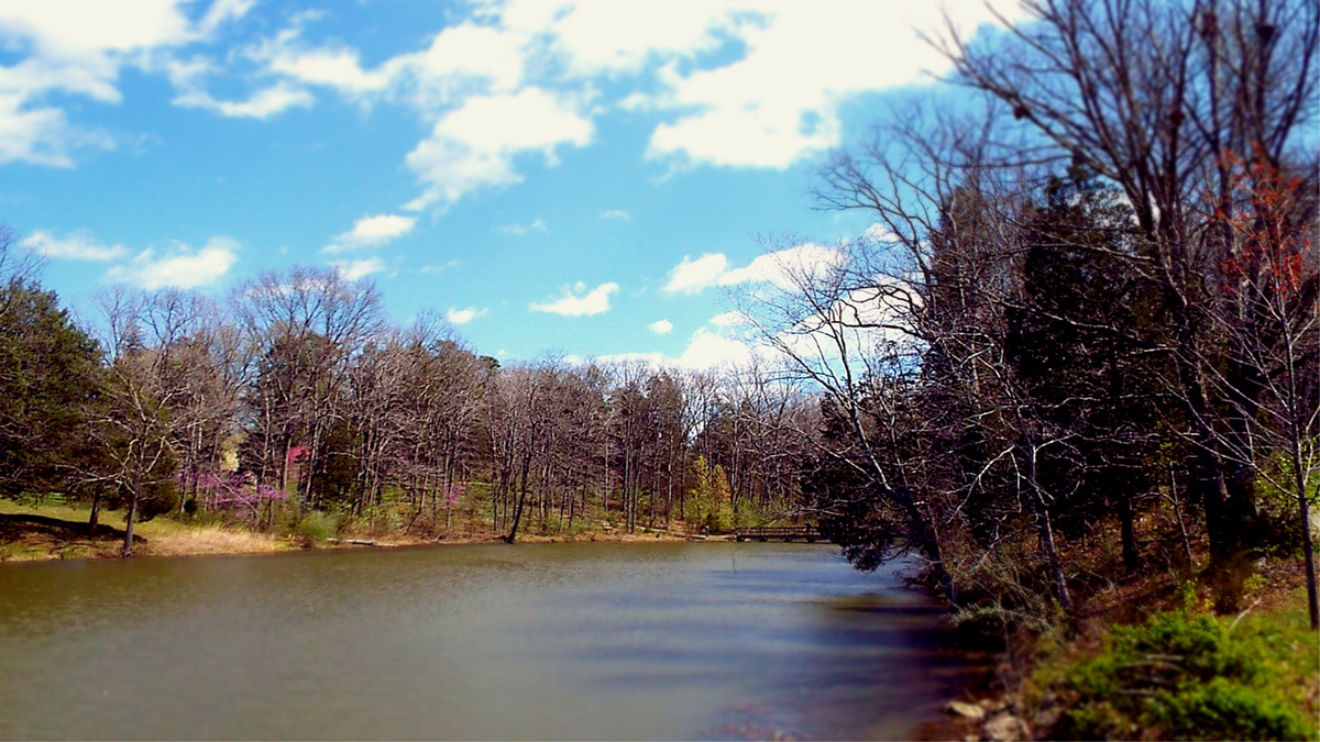 Bernheim Arboretum and Research Forest | The Cultural Landscape Foundation
