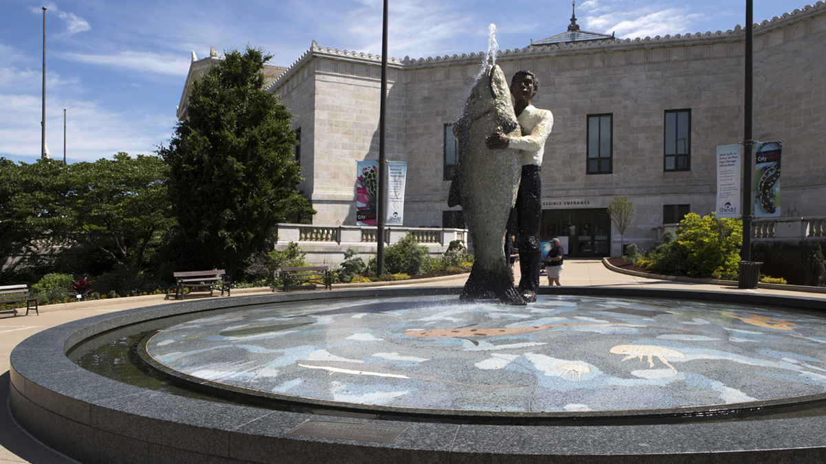 Lake Shore Drive - Museum Campus | The Cultural Landscape Foundation