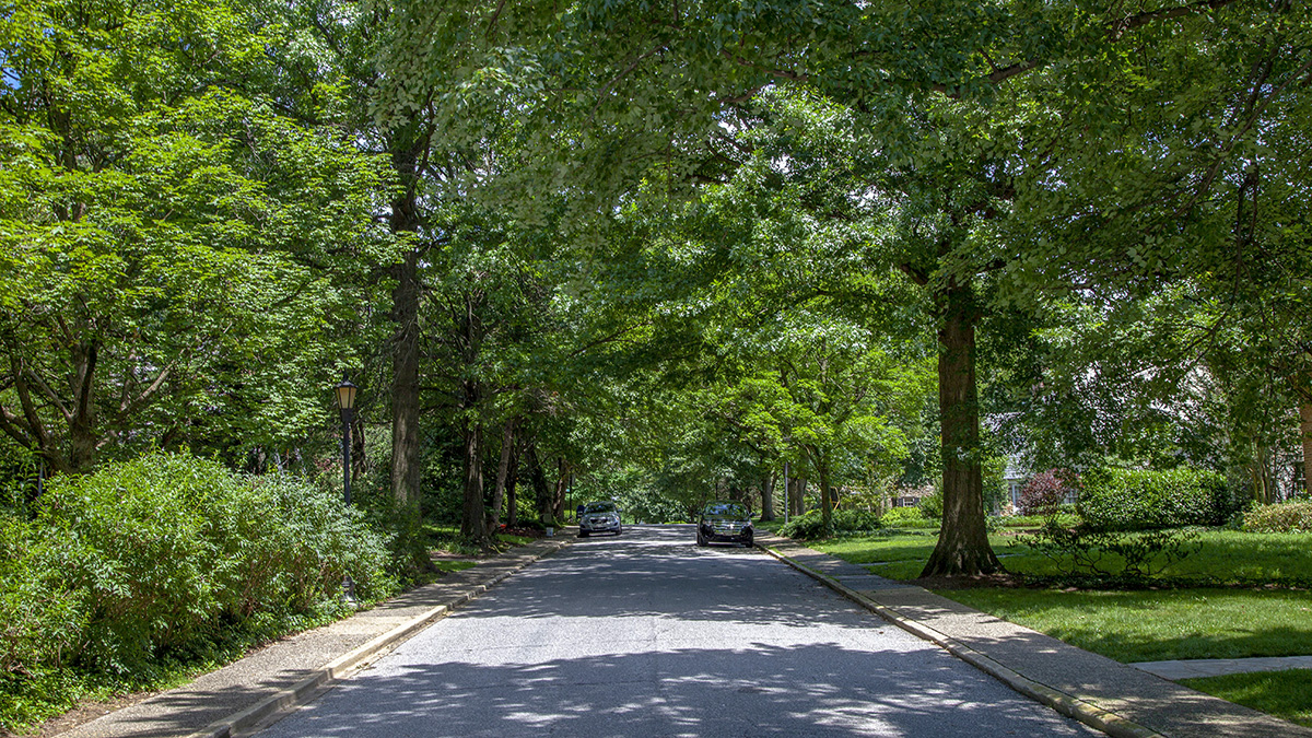 Greater Homeland Historic District | The Cultural Landscape Foundation