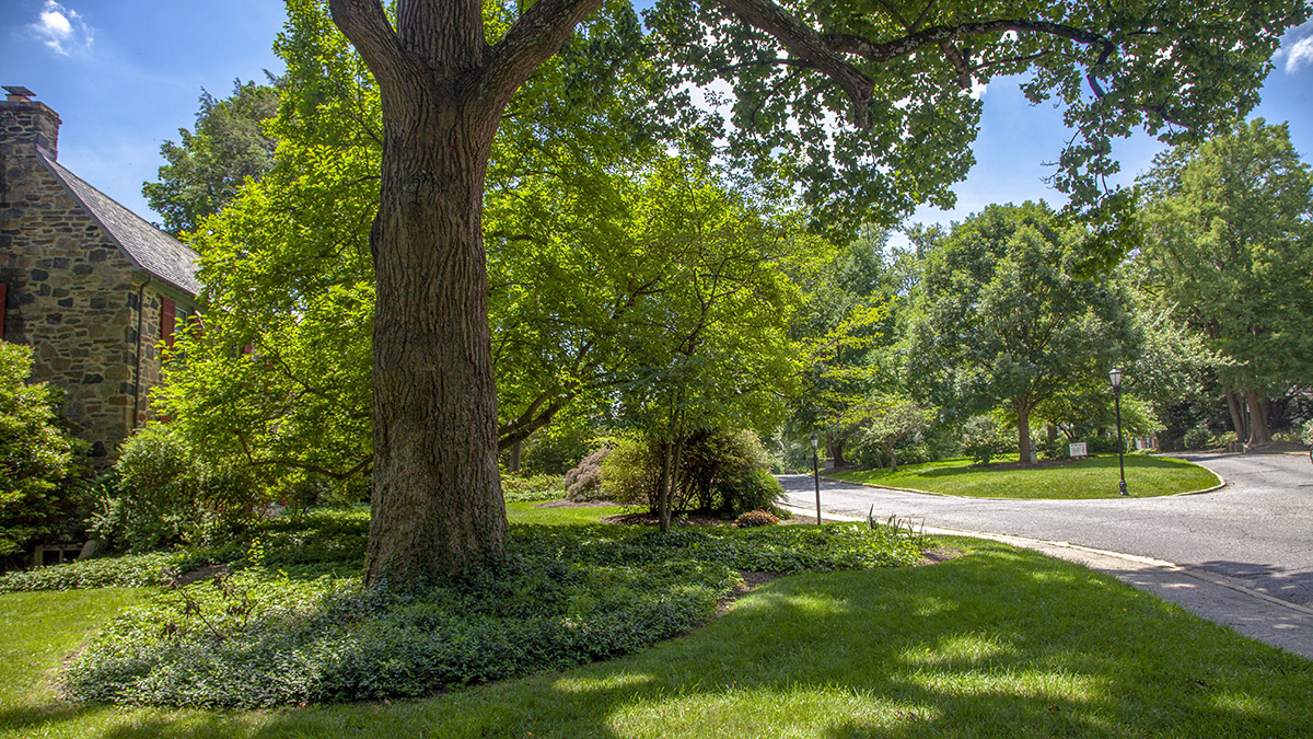 Greater Homeland Historic District | The Cultural Landscape Foundation