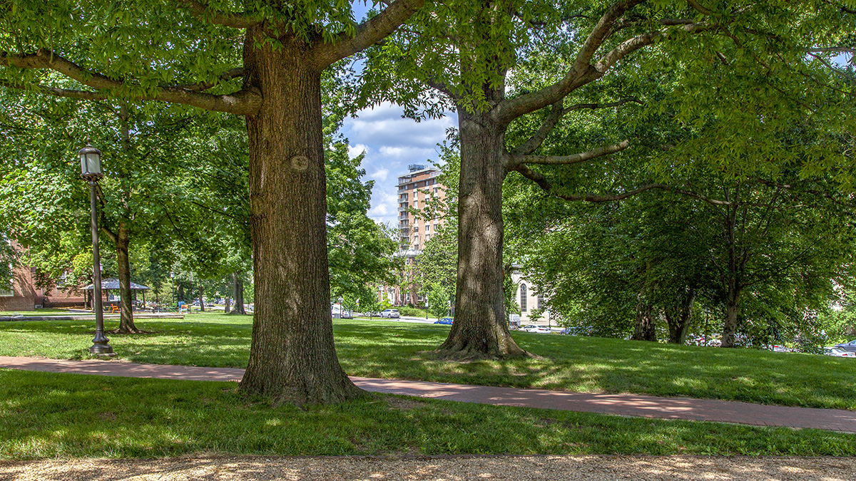 Homewood House | The Cultural Landscape Foundation