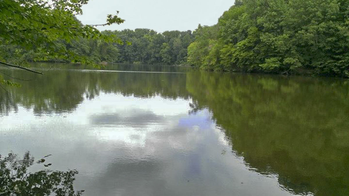 Lake Roland Park | The Cultural Landscape Foundation